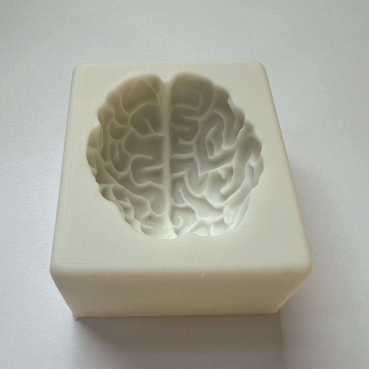 BRAIN SILICONE MOLD / Shapem
